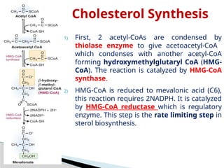 cholesterol metabolism and regulation in | PPTX
