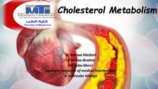 cholesterol_metabolism_2_-_without_record.pdf