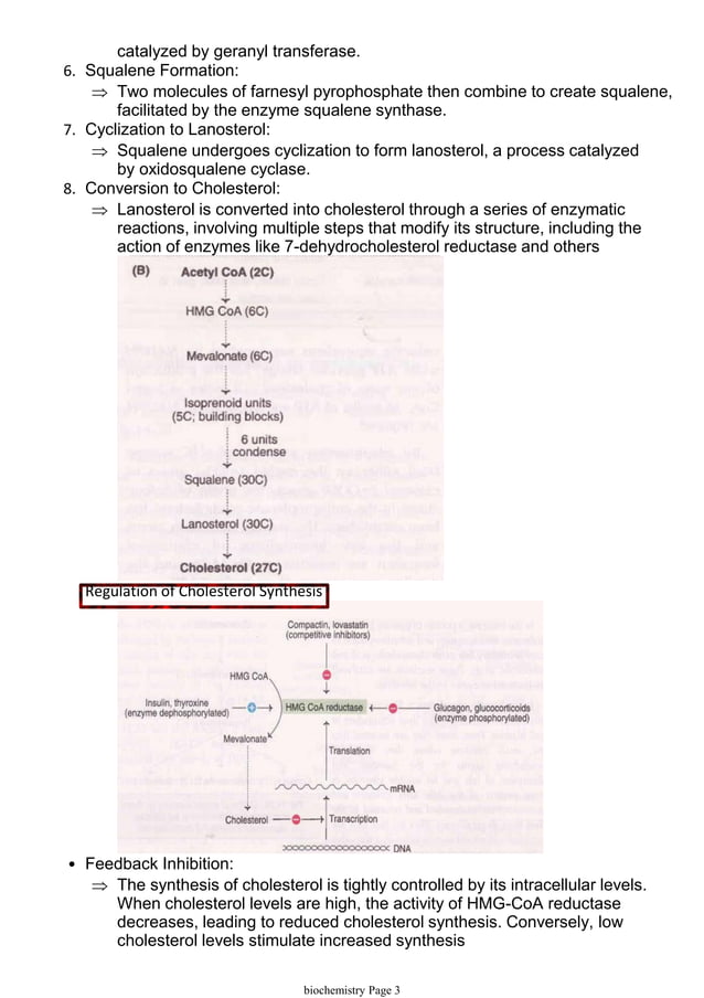1. cholesterol metabolism by @Nikhil.pdf
