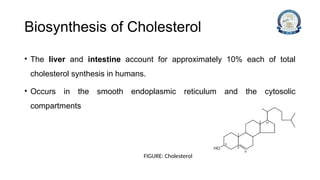 stages in the biosynthesis of cholesterol.pptx