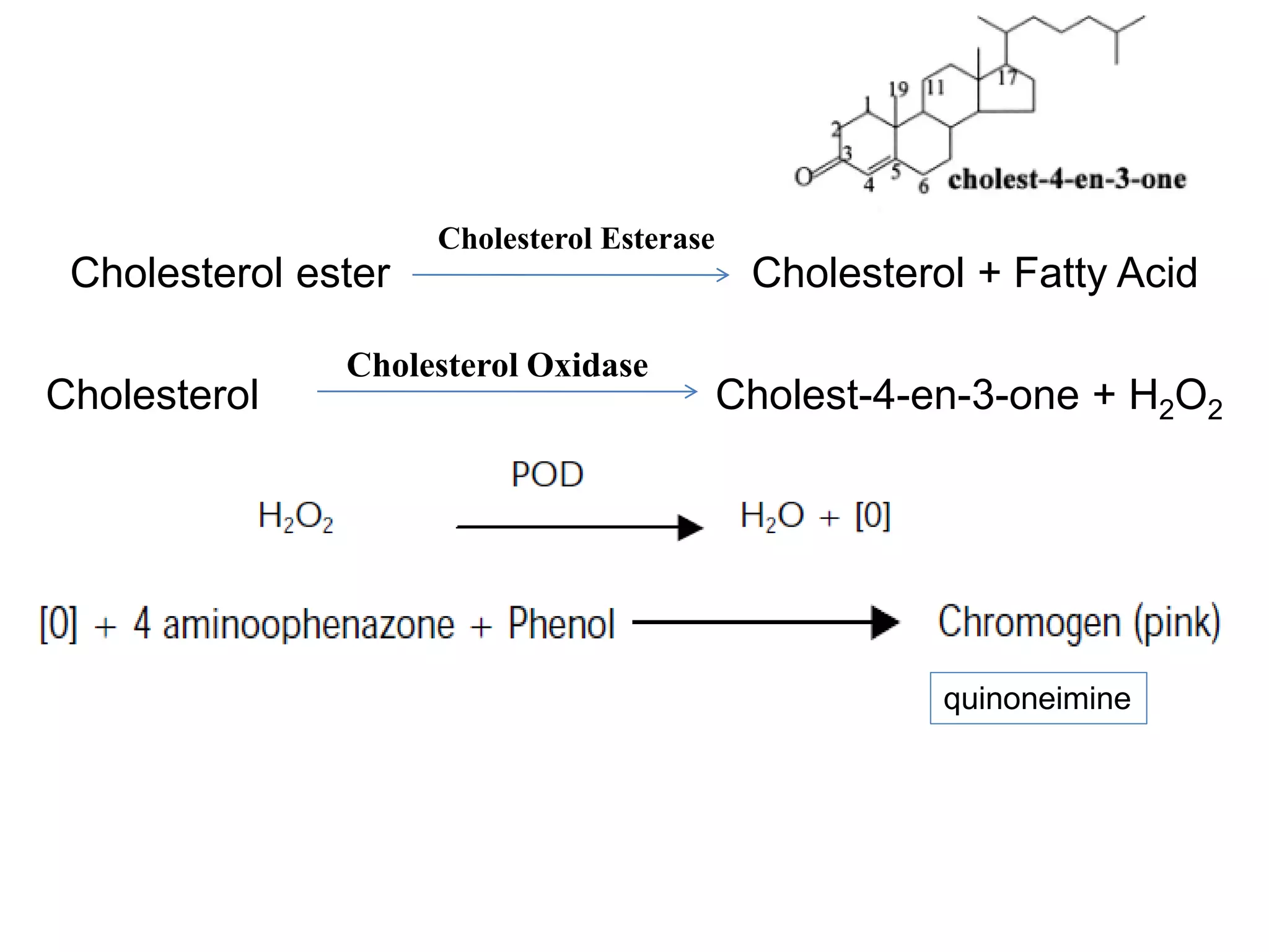 Cholesterol practical pdf | PDF