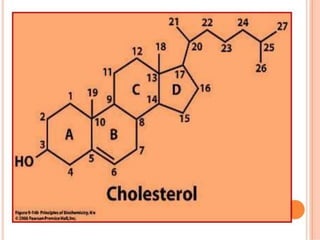 Cholesterol strcture and function | PPTX