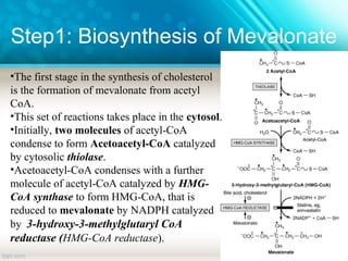 Cholesterol Biosynthesis | PPT