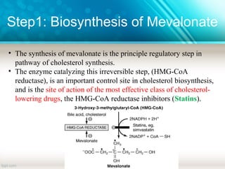 Cholesterol Biosynthesis | PPT