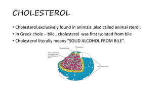 Synthesis of Cholesterol | PPTX