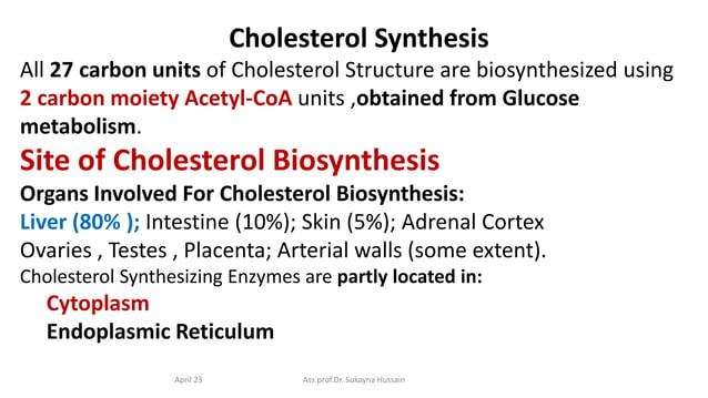 cholesterol synthesis.pptx