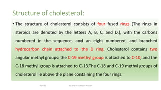 cholesterol synthesis.pptx | Chemistry | Science