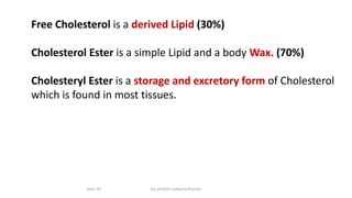 cholesterol synthesis.pptx