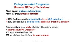 cholesterol synthesis.pptx