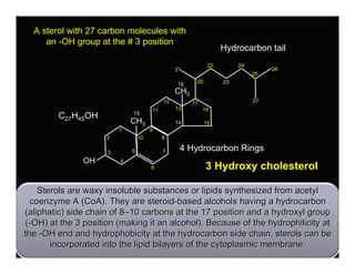 Cholesterol_Synthesis in biochemistrand physiology | PPT