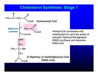 Cholesterol_Synthesis in biochemistrand physiology | PPT