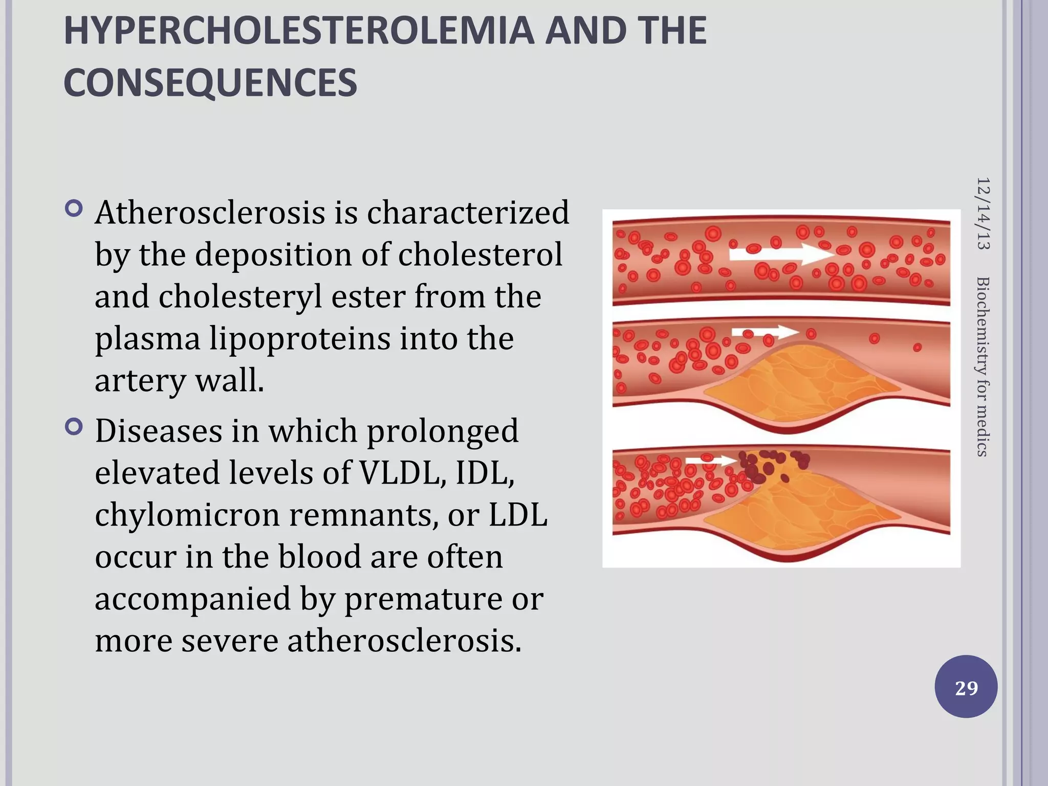 Cholesterol synthesis steps and regulation | PPT