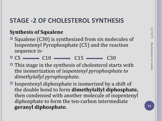 Cholesterol synthesis steps and regulation | PPT