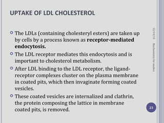 Cholesterol synthesis steps and regulation | PPT