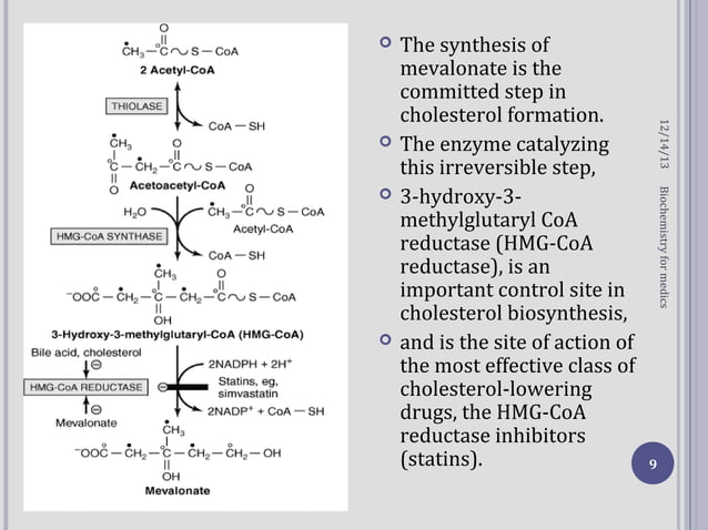 Cholesterol synthesis steps and regulation | PPT