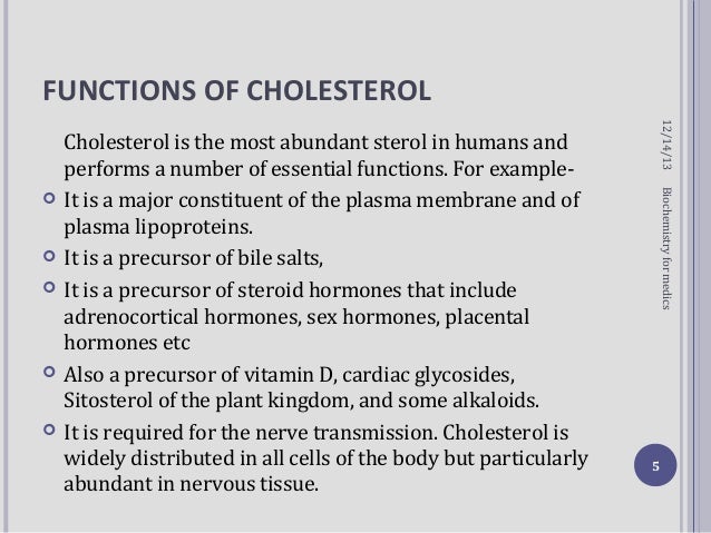 Cholesterol synthesis steps and regulation