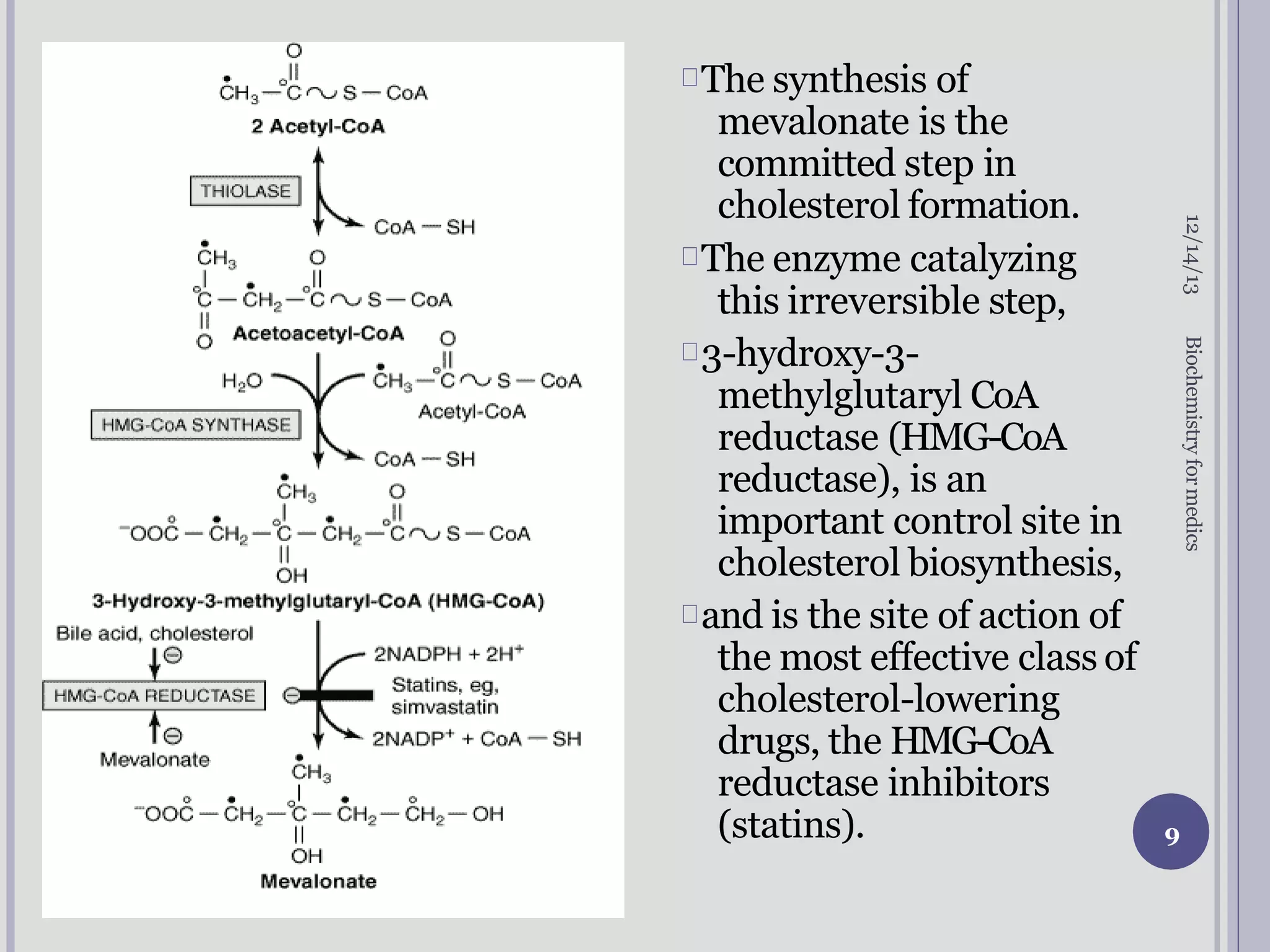 Cholesterolsynthesis stepsandregulation-17-18 | PPTX