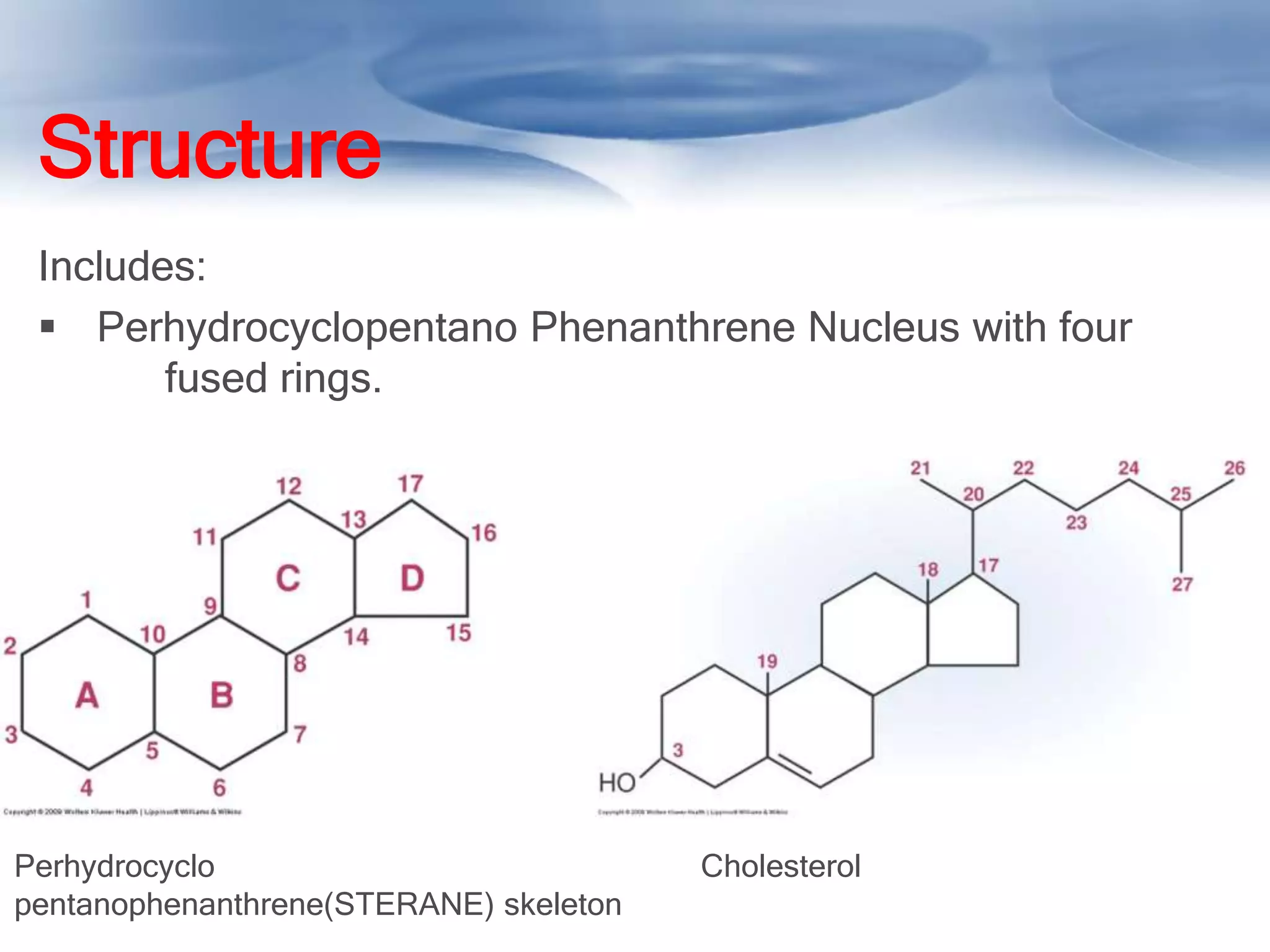 Cholesterol synthesis,transport and excretion | PPTX
