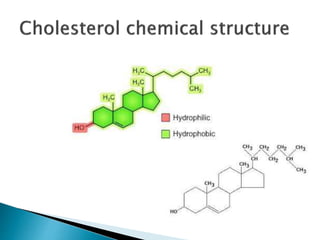 Cholestrol | PPT
