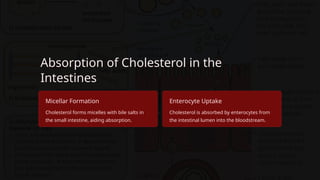 cholestrol metabolism and various aspects .pptx