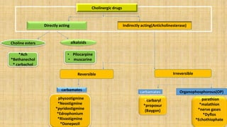 Cholinergic and Anticholinesterase drugs | PPTX