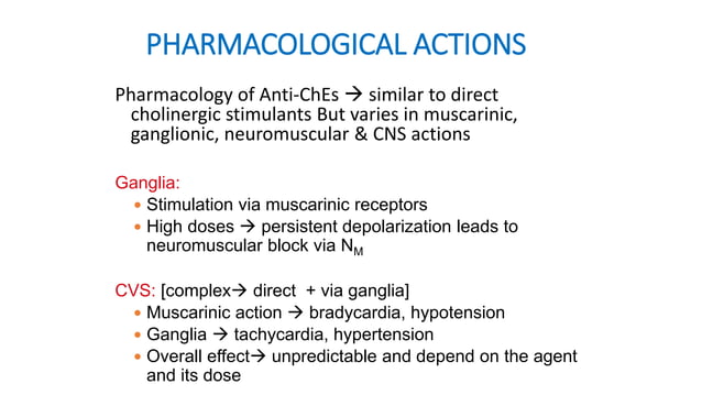 Cholinergic and Anticholinesterase drugs | PPTX | Brain and Nervous ...