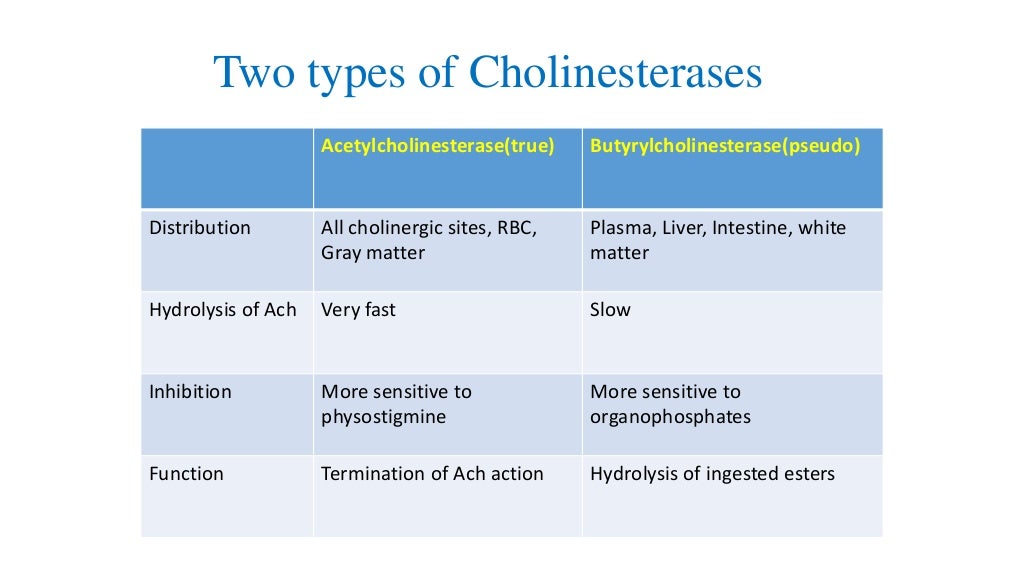 Cholinergic and Anticholinesterase drugs
