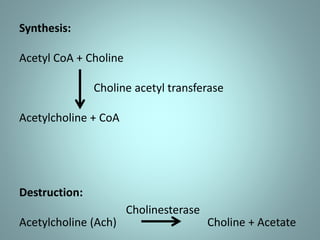 Cholinergic system and drugs | PPTX | Brain and Nervous System ...
