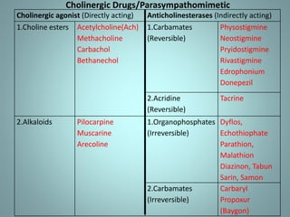 Cholinergic system and drugs | PPTX