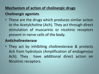 Cholinergic system and drugs | PPTX | Brain and Nervous System ...