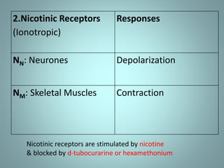 Cholinergic system and drugs | PPTX