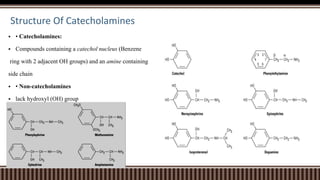 Cholinergic & Adrenergic Transmission.pptx
