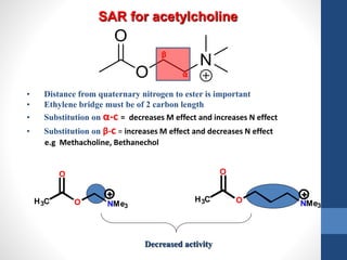 Methacholine Structure