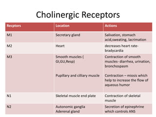 Cholinergic agent: Autonomic Drugs | PPT
