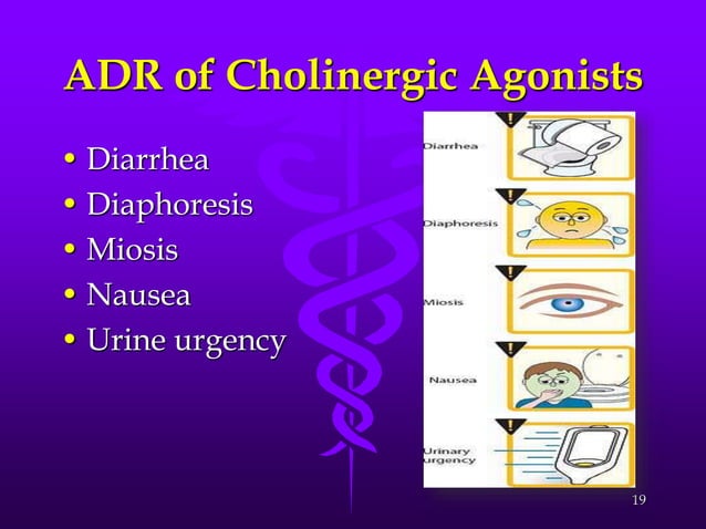 Cholinergic agents | PPT