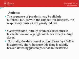 cholinergic agonist Acetylcholine Bethanechol | PPT