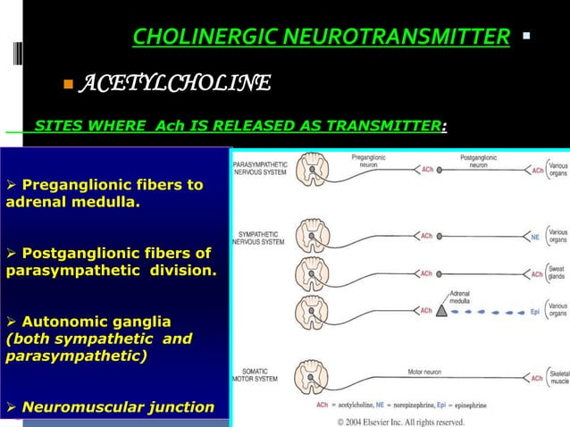 Cholinergic agonists | PPT