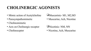 CHOLINERGIC AND ADRENERGIC AGONISTS AND ANTAGONISTS_101459-1.pptx