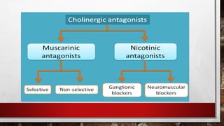 Cholinergic antagonists | PPTX