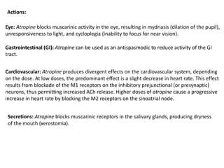 Cholinergic antagonists and blockers-Dr.Jibachha Sah,M.V.Sc,Lecturer | PPT