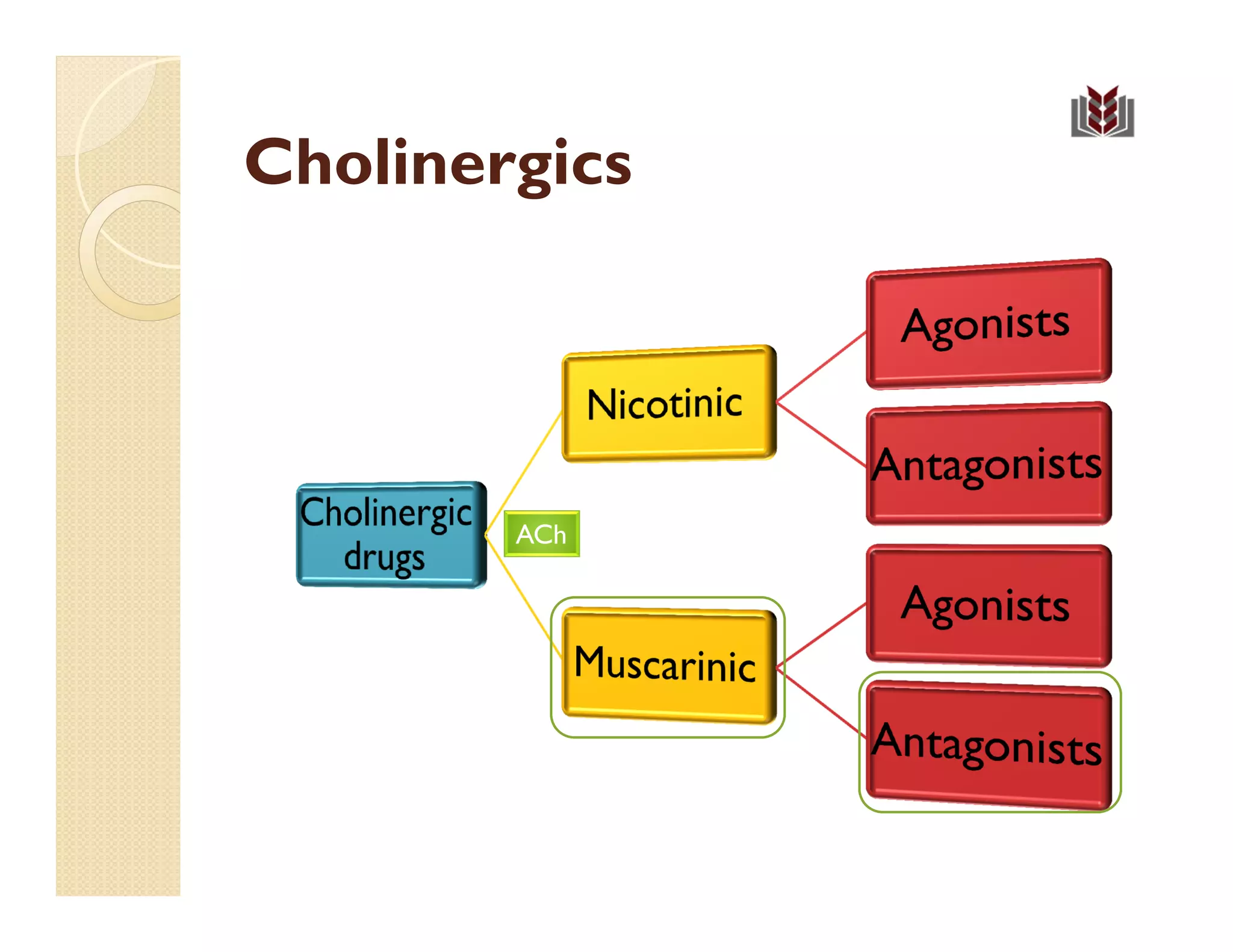 Cholinergic antagonists medicinal chemistry | PDF