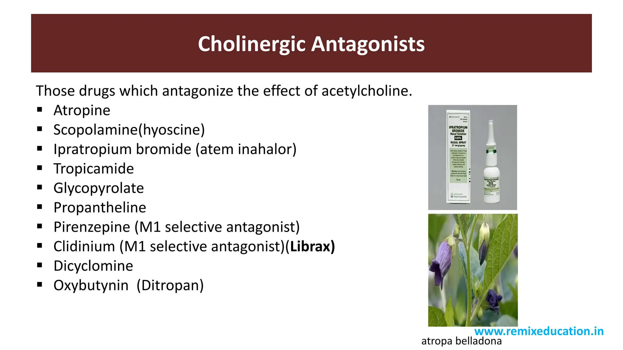 CHOLINERGIC & ANTI- CHOLINERGIC DRUGS-1.pdf