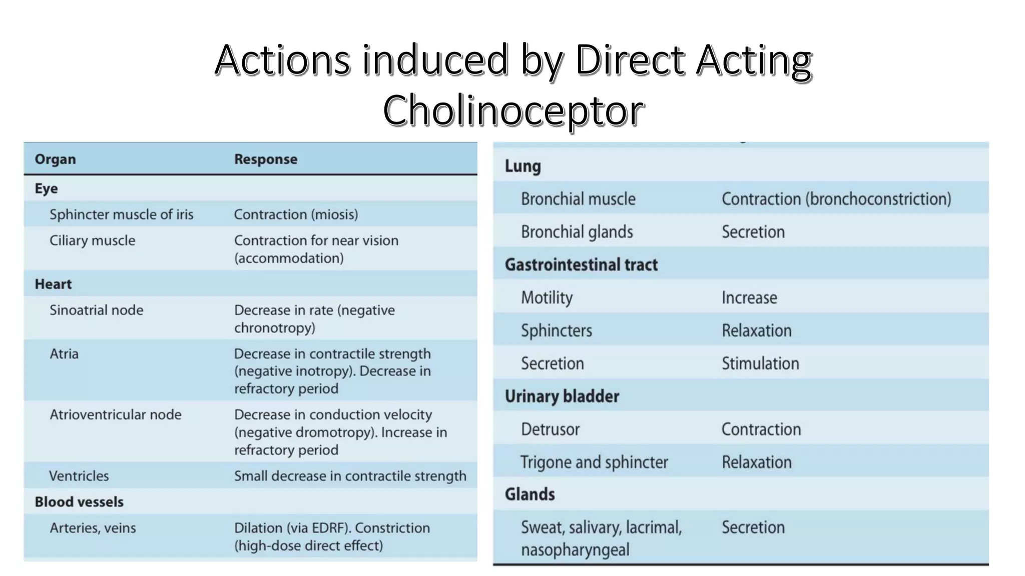 Cholinergic & AntiCholinergics.pptx