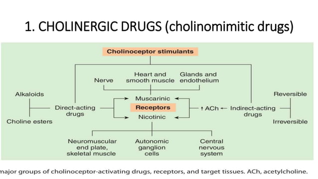 Cholinergic & AntiCholinergics.pptx