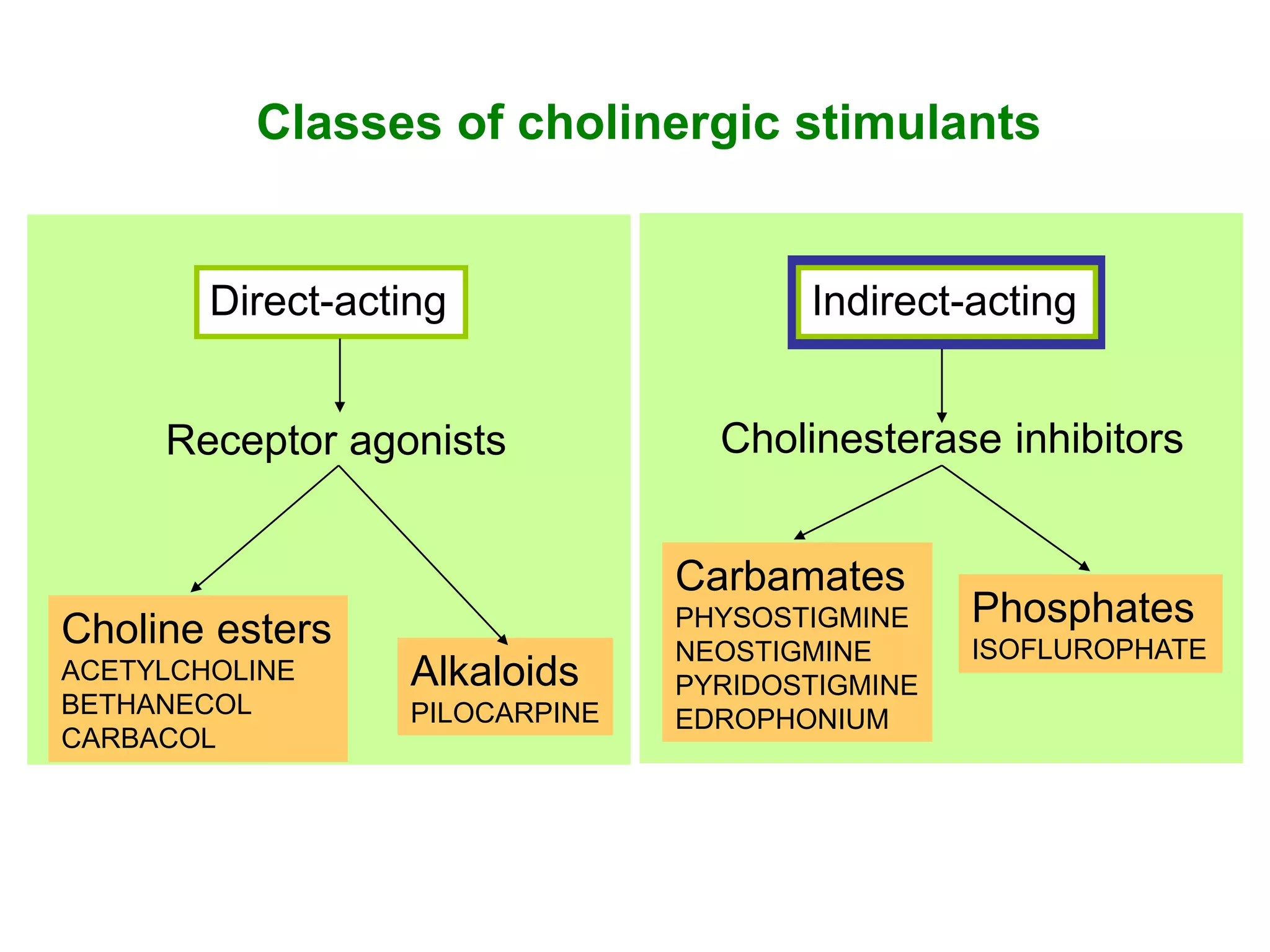 Cholinergic class 4th.ppt