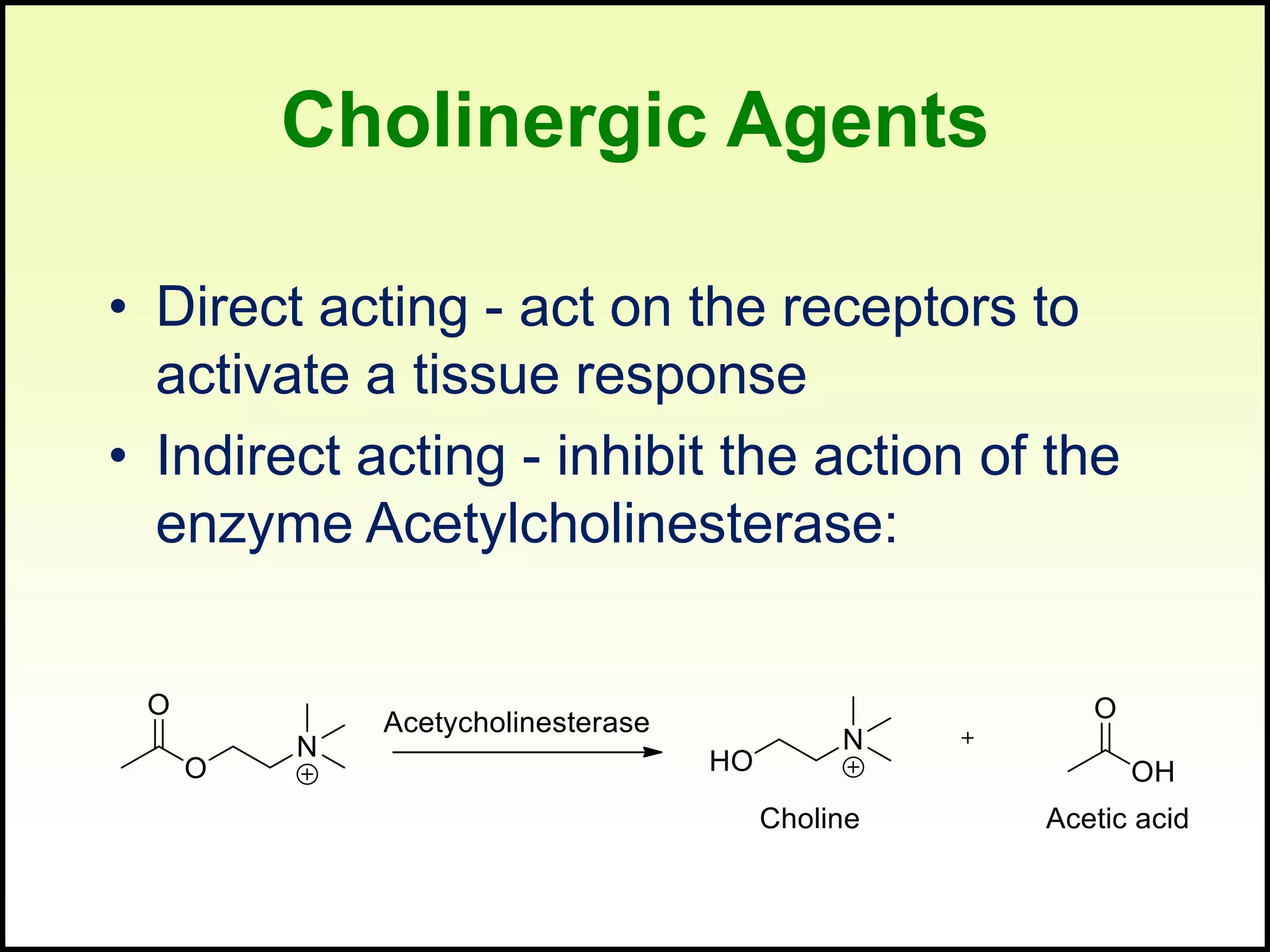 Cholinergic class 4th.ppt