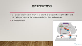 Cholinergic Crisis | PPT