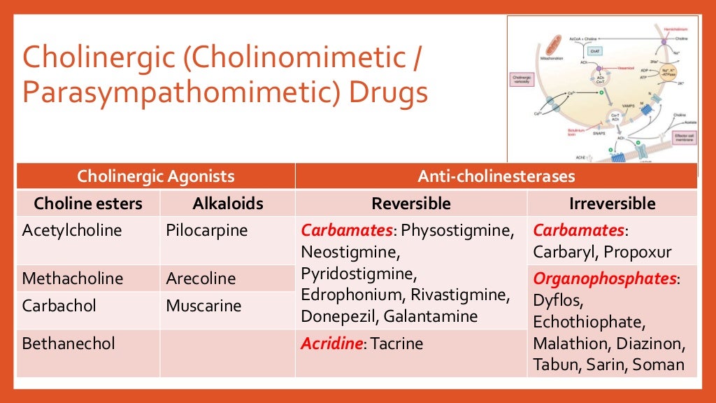 Cholinergic drugs
