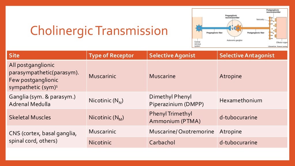 Cholinergic drugs