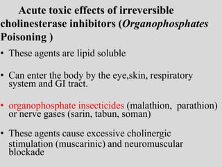 cholinergicdrugs-160304092118.pptx